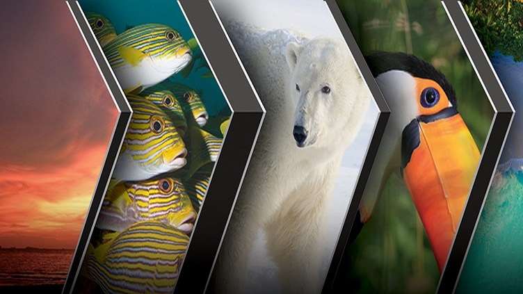 PVC plade HVID 10mm med sort genbrugs kerne